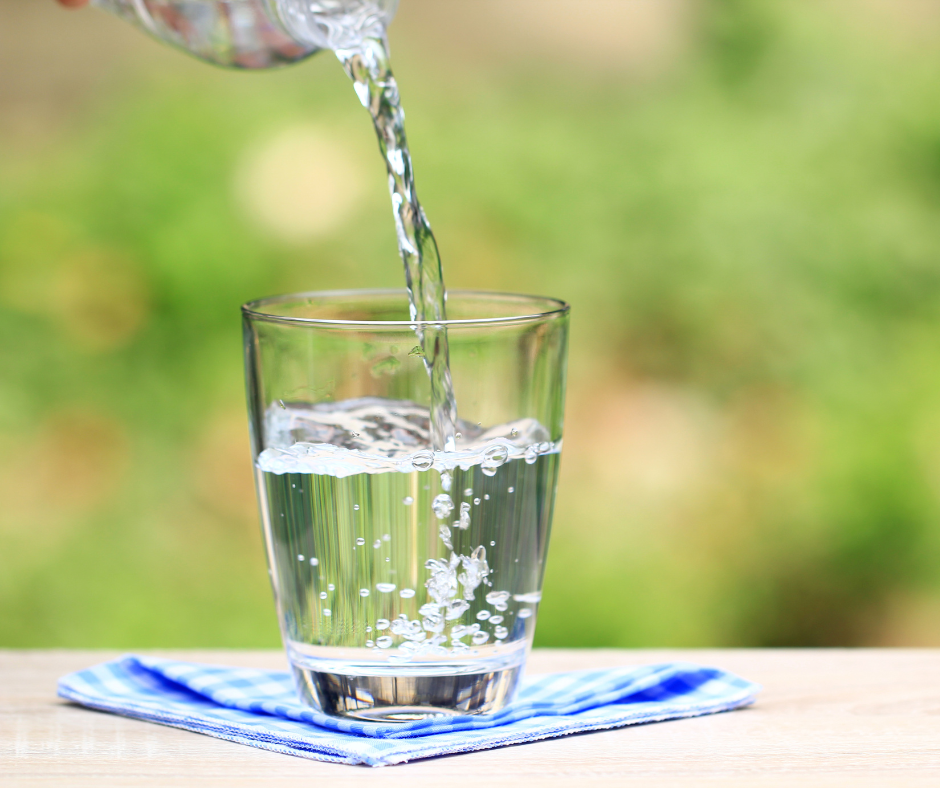 Freshwater Fun! | The Hub Farm